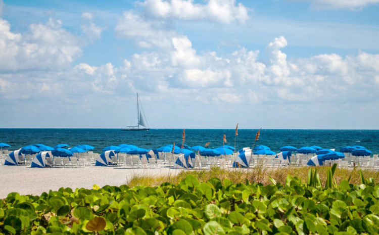 Things to Do - Dover House Resort